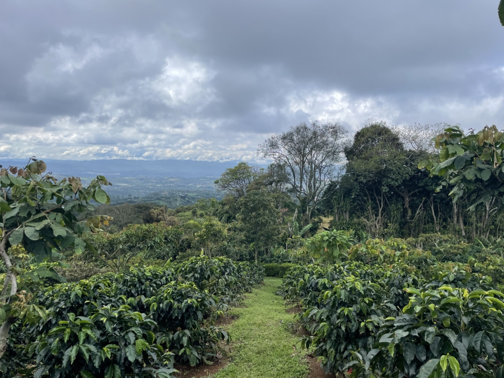 Farms and Ranches • Costa Rica Real Estate