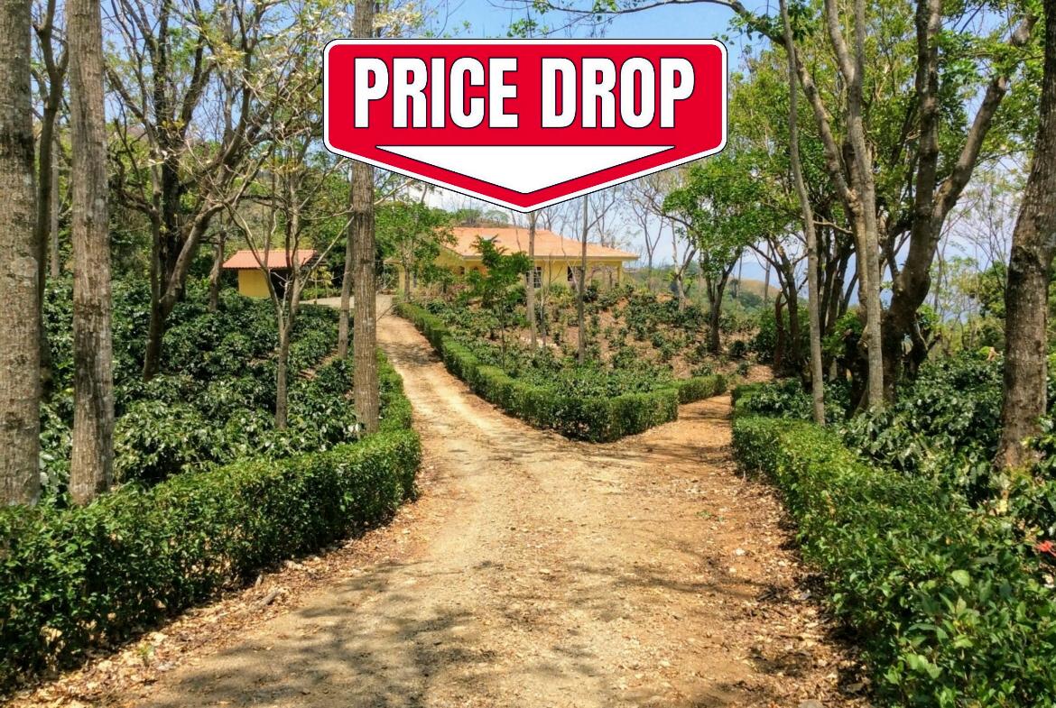 Enchanting Coffee Estate 2 BR Home in Altos Los Cafetales